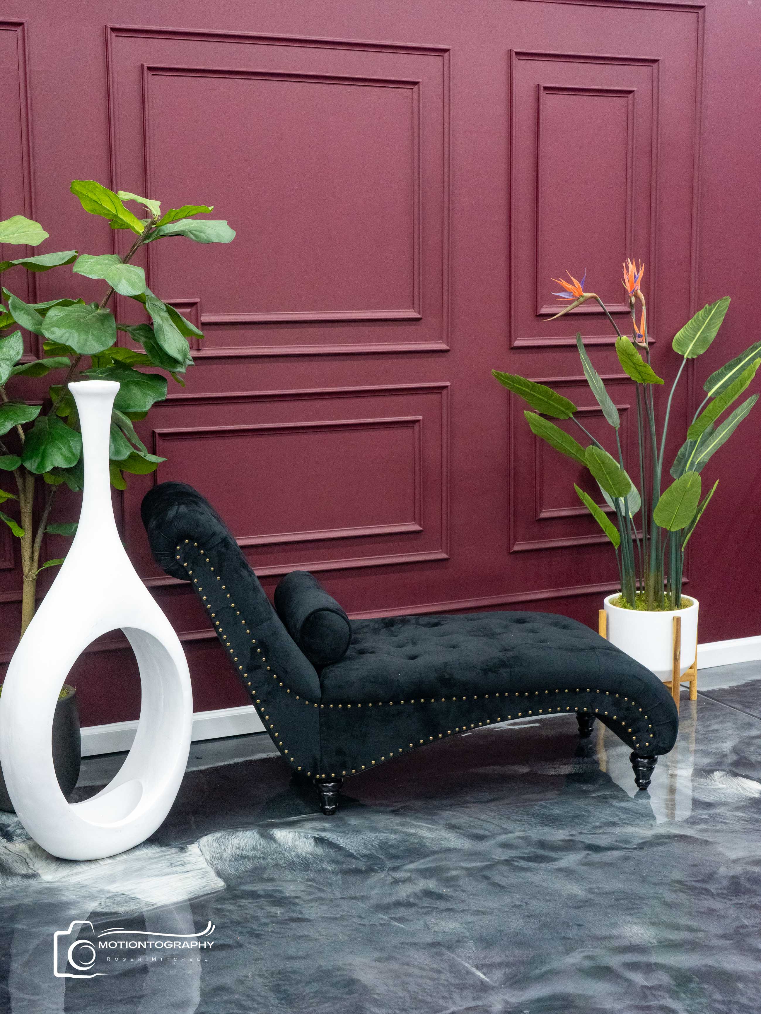 About My Studio | Motiontography by Roger Mitchell